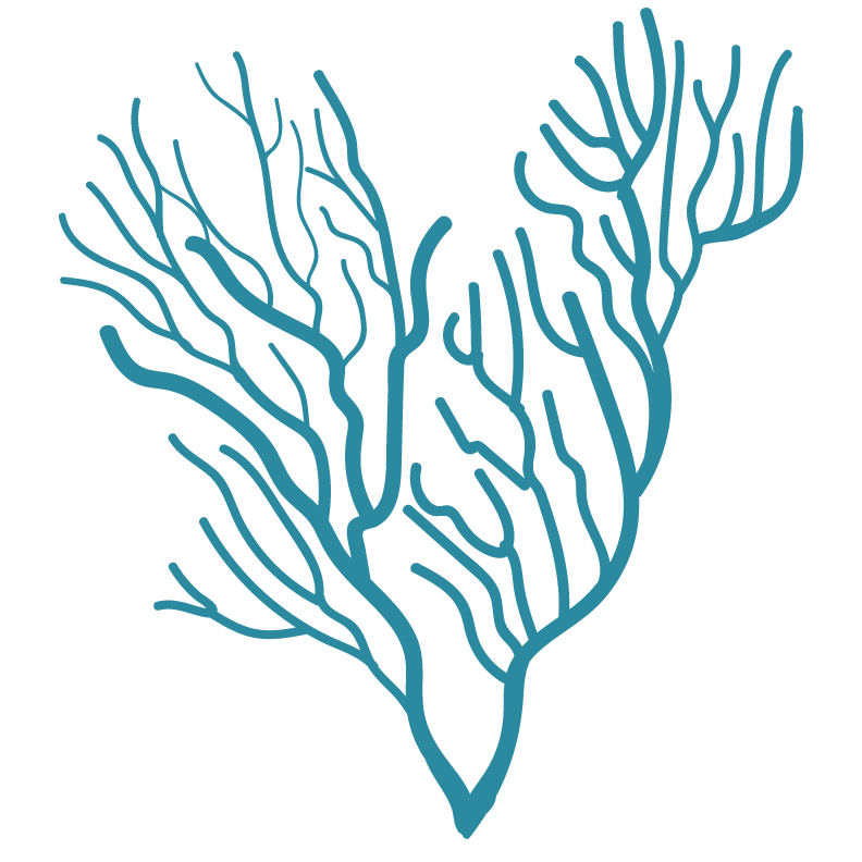 Climate-Variability-icon-blue - SECOORA