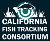 CFTC-logo-1 - SECOORA