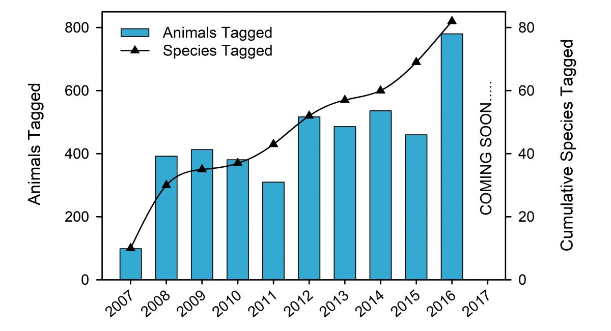 FACT Tags & Species Through Time-cropped - SECOORA