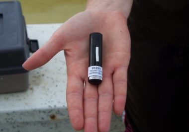 How Acoustic Telemetry Works - SECOORA