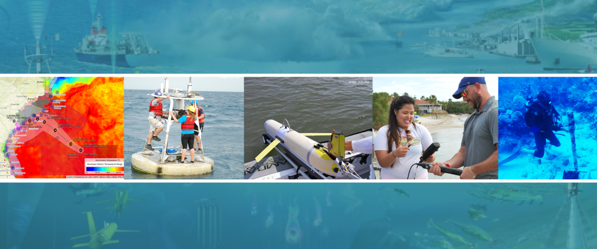 Regional Coastal Ocean Observing System Strategic Operational Plan Secoora