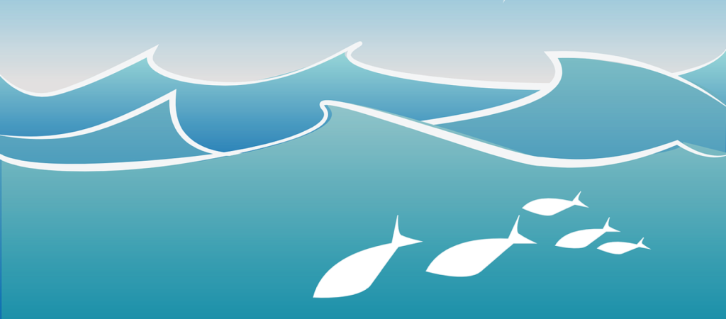 website-header-water-shapes-our-world - SECOORA