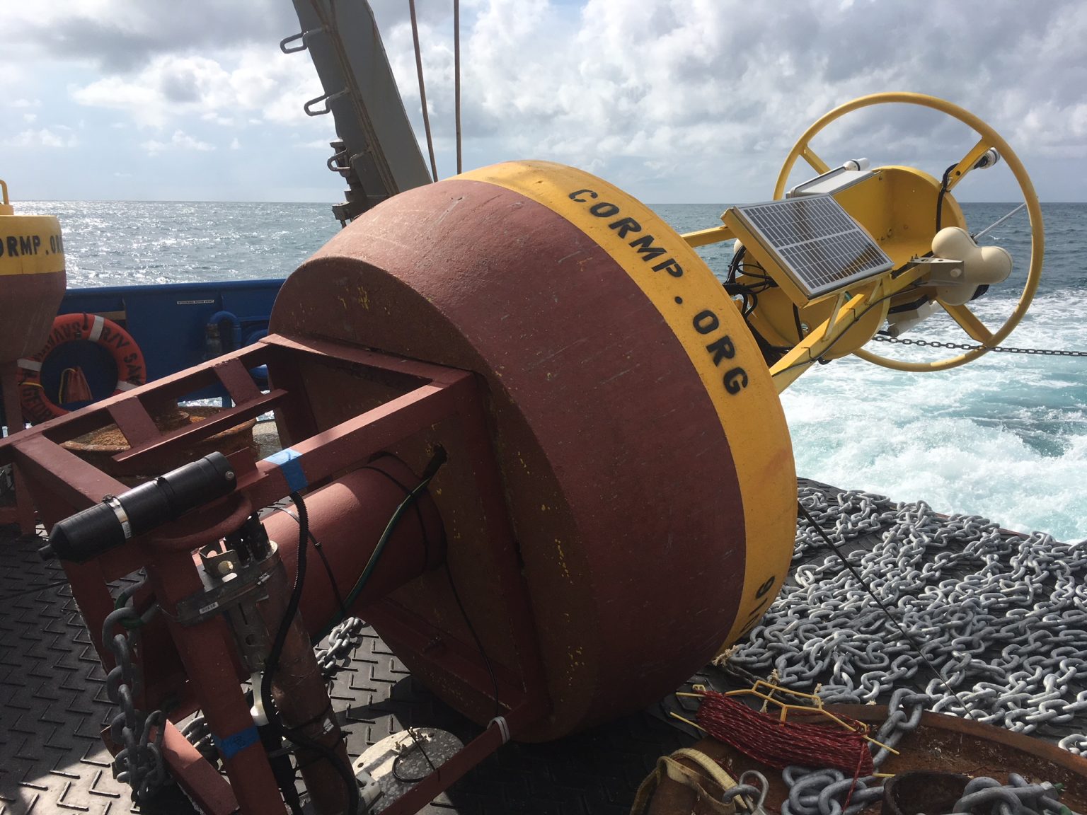 New Acoustic Receivers Help FACT Network Track Marine Animals - SECOORA