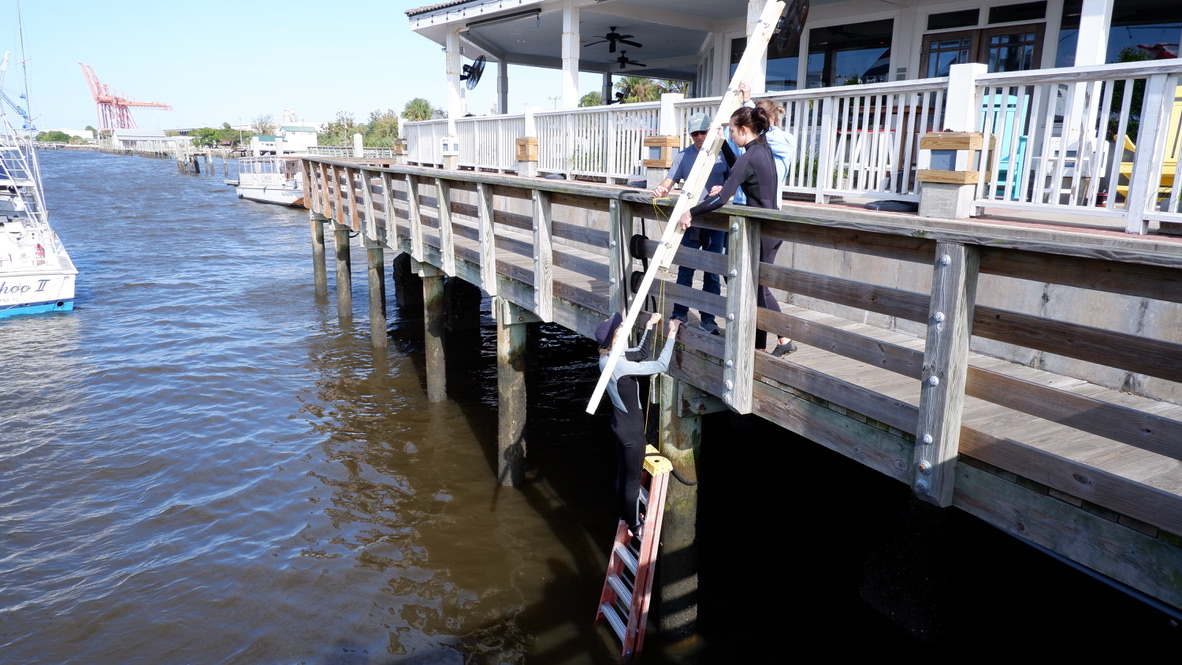 Southeast Water Level Network - SECOORA