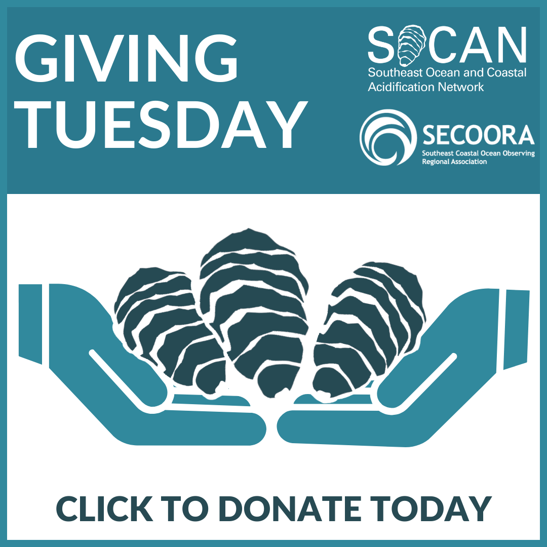 This Giving Tuesday Support Ocean Education and Outreach - SECOORA