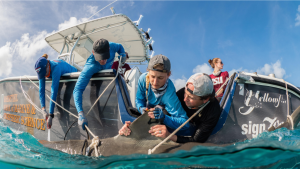 The BioTrack Initiative: A Network to Assess and Monitor Biodiversity ...