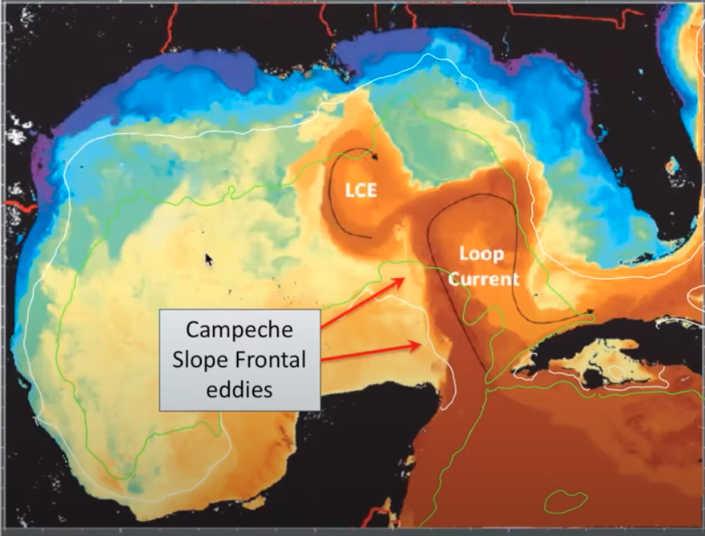 What do we know about the Loop Current in the Gulf of Mexico from ...