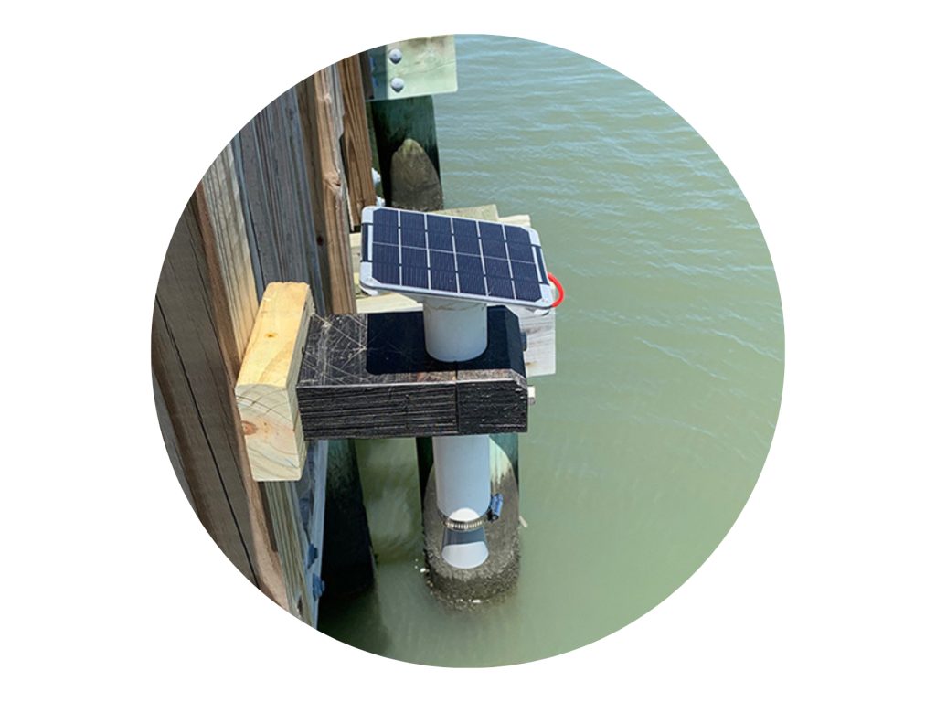 Southeast Water Level Network - SECOORA