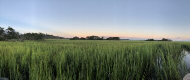 Surface Elevation Table Community of Practice - SECOORA